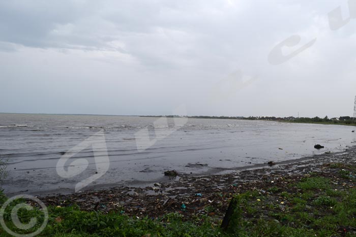 IWACU English News | The voices of Burundi – SETEMU, main source of ...