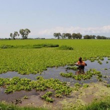 Quand la station d’épuration de Buterere menace l’environnement – IWACU